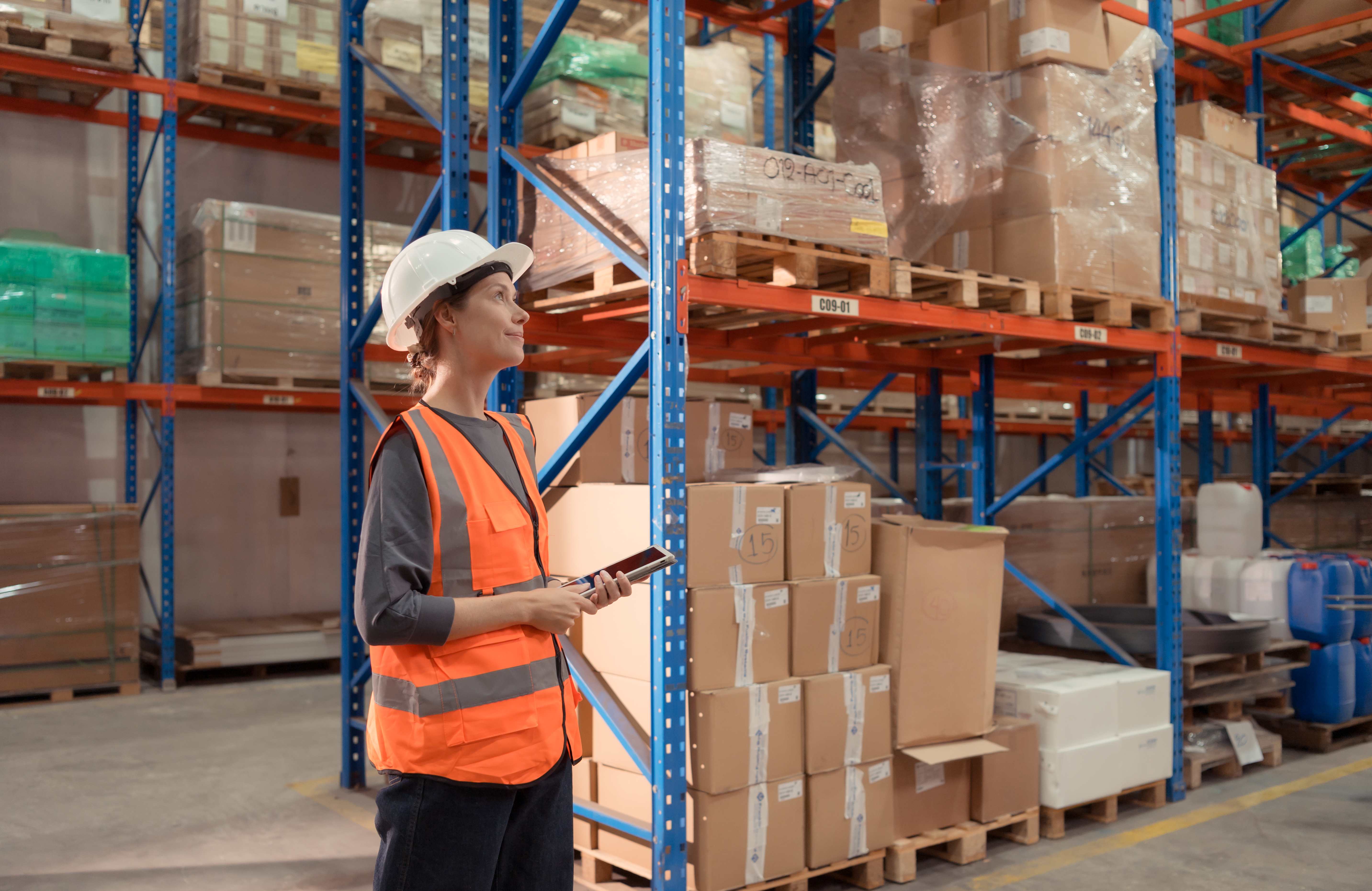 Warehouse Management Software System | Supply Chain Management